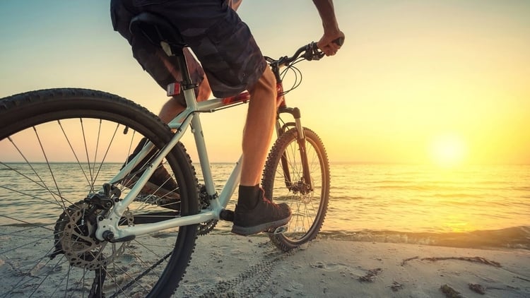 Why Should You Trust The BDS Two Tier Bike Rack? - Bike Dock Solutions Blog