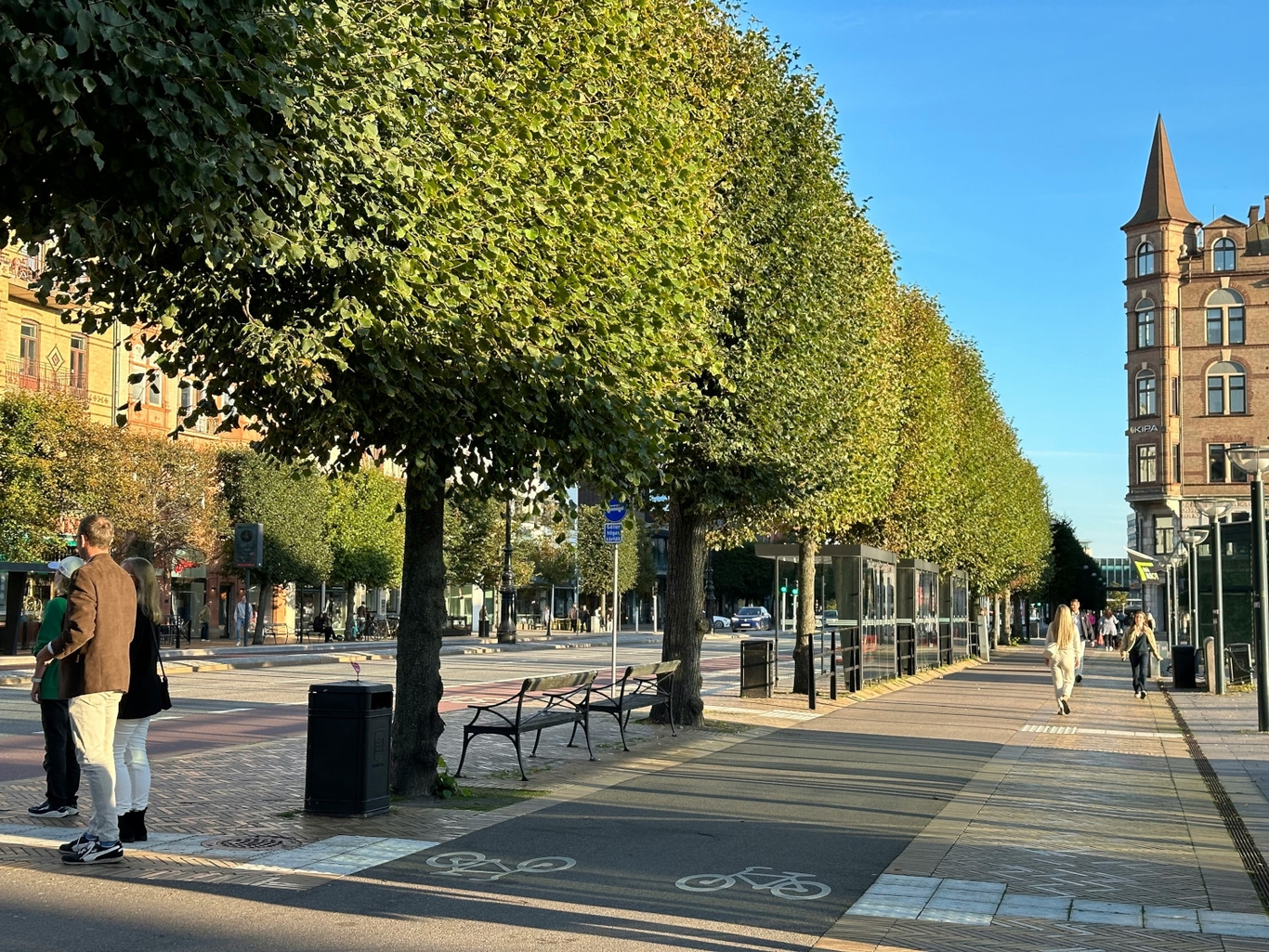 Protecting Urban Trees: The Benefits of Tree Grilles and Guards ...